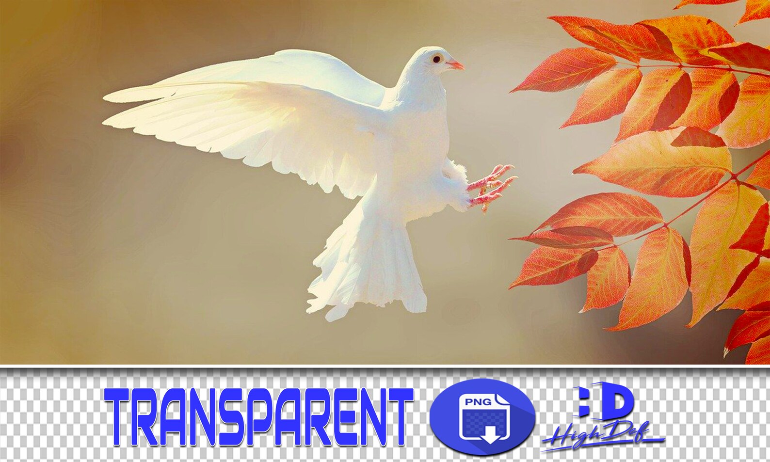 100 DOVES TRANSPARENT PNG Photoshop Overlays Doves Png Doves - Etsy