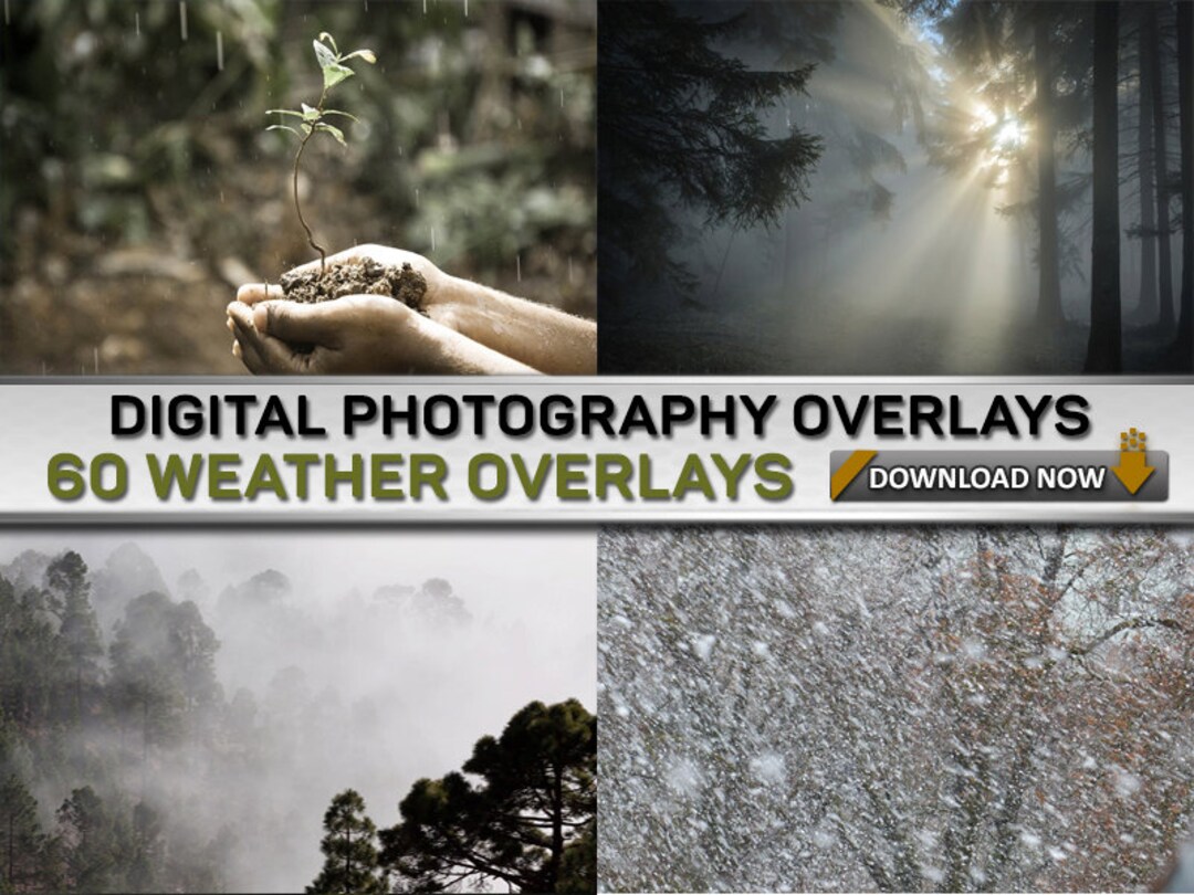 60 WEATHER OVERLAYS : 15 Snow Overlays - 15 Rain Overlays - 15 Fog ...