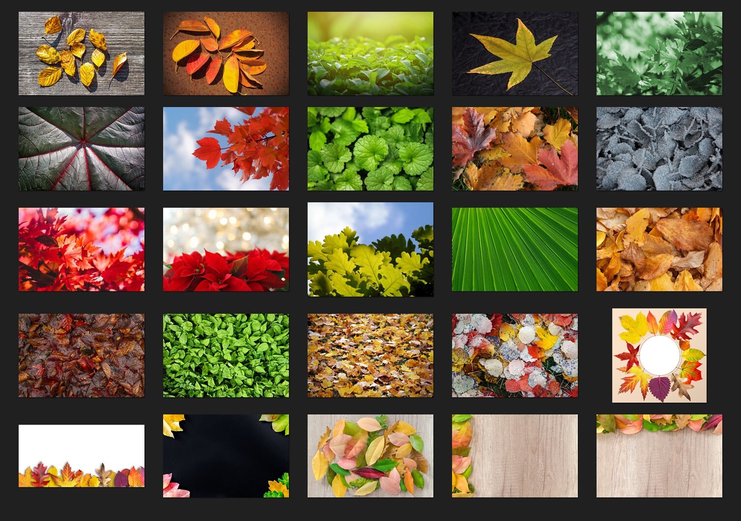 200 LEAVES PHOTOSHOP OVERLAYS Digital Textures Backgrounds | Etsy