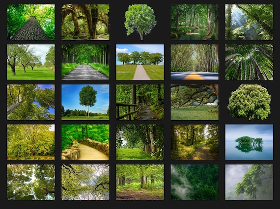 Nature Backgrounds For Photoshop