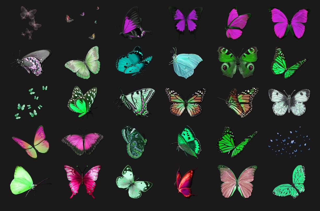 100 BUTTERFLIES TRANSPARENT PNG Photoshop Overlays, Digital Textures ...