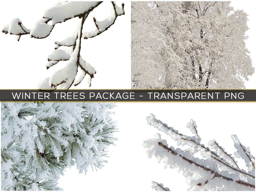 Winter Trees Snow Overlays: Transparent PNG Photoshop Overlays (digital ...