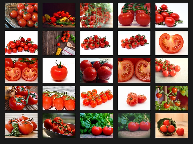 200 TOMATOES PHOTOSHOP OVERLAYS Digital Textures - Etsy