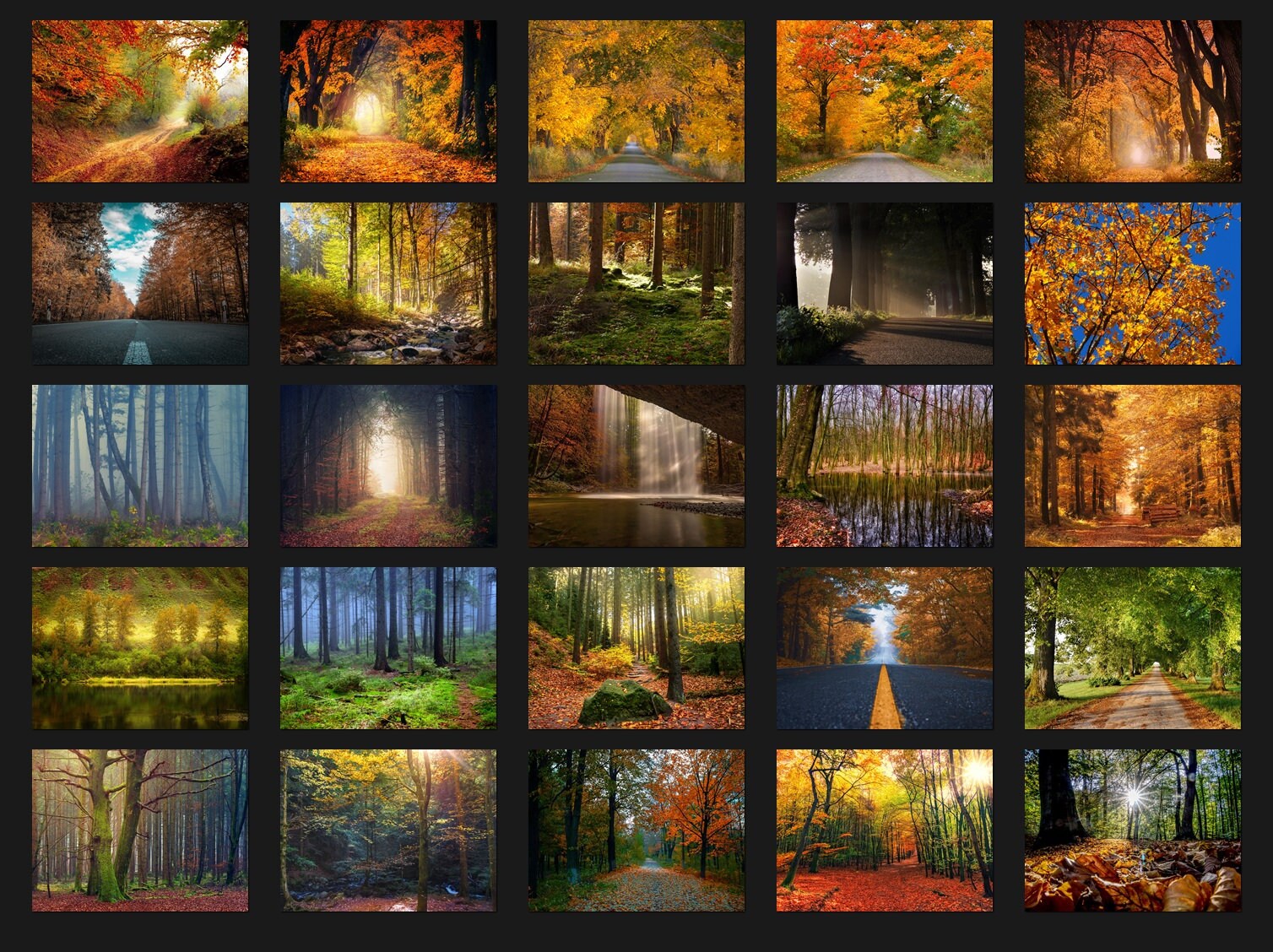 200 Autumn Trees Photoshop Overlays: HD Textures (digital Download) - Etsy