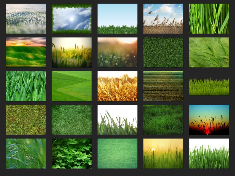 200 Grass Photoshop Overlays: HD Textures & Backgrounds (digital ...
