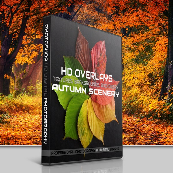 Autumn Digital Backgrounds - Etsy