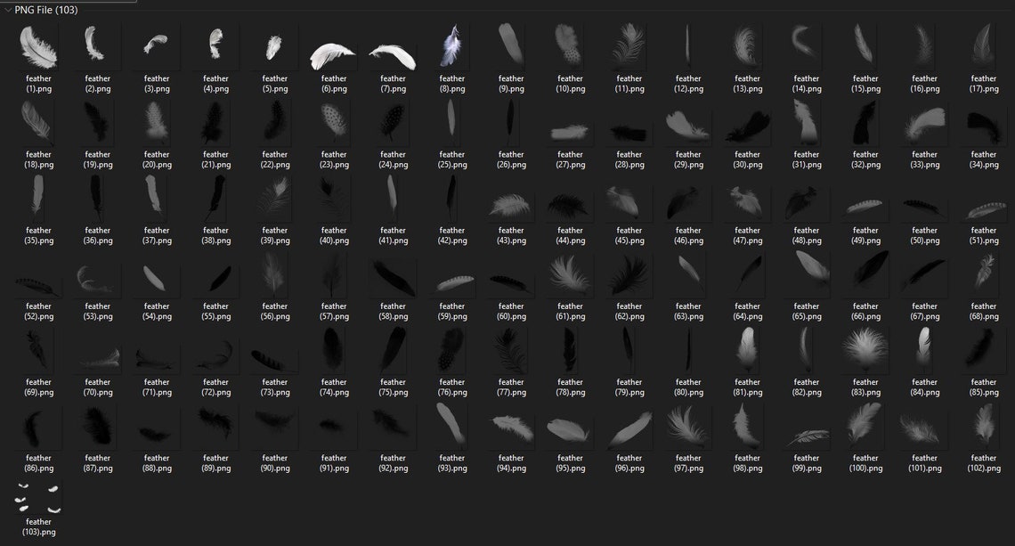 100 FEATHER TRANSPARENT PNG Photoshop Overlays Feather Wings | Etsy