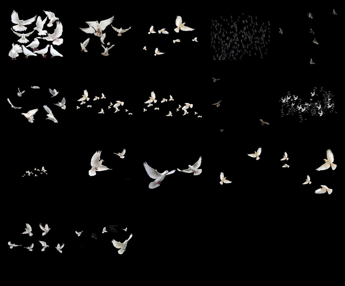 100 DOVES TRANSPARENT PNG Photoshop Overlays Doves Png Doves - Etsy