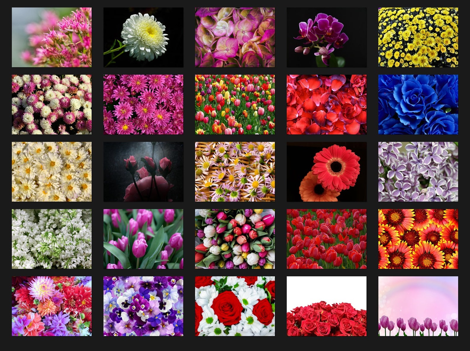 200 FLOWERS PHOTOSHOP OVERLAYS Digital Textures Backgrounds - Etsy