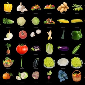 500 VEGETABLES TRANSPARENT PNG Photoshop Overlays, Vegetables Png ...
