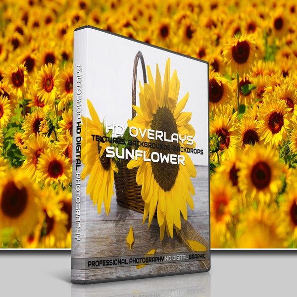 Sunflower Overlay Photoshop - Etsy