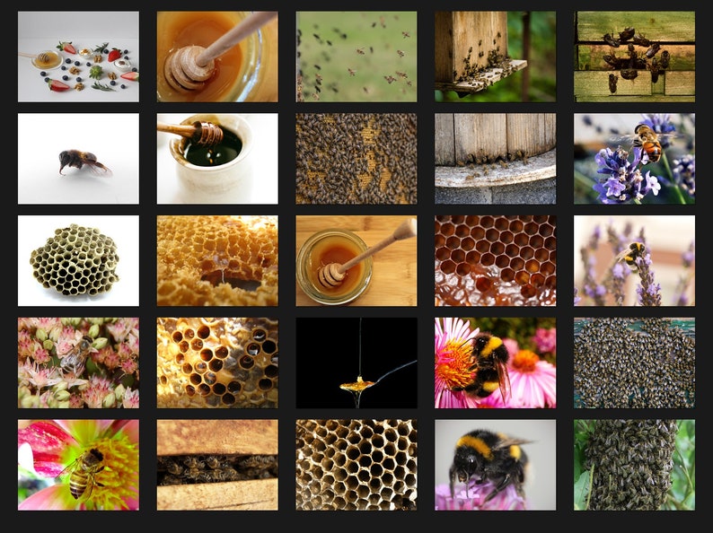 200 HONEY Bees PHOTOSHOP OVERLAYS Digital Textures - Etsy