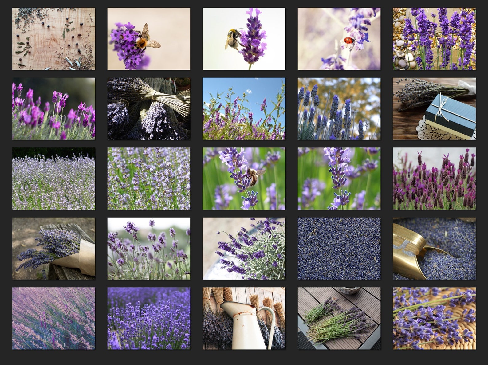 200 LAVENDER PHOTOSHOP OVERLAYS Digital Textures | Etsy