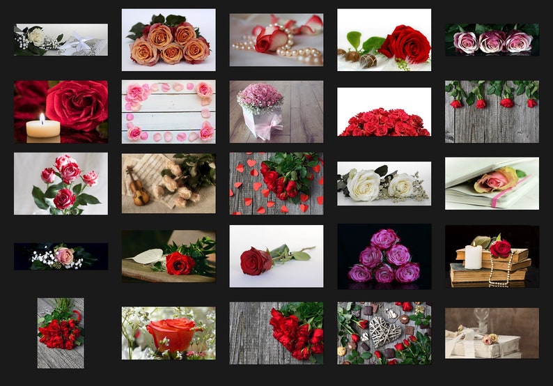 200 Red Roses Photoshop Overlays: HD Textures, Backgrounds (digital ...