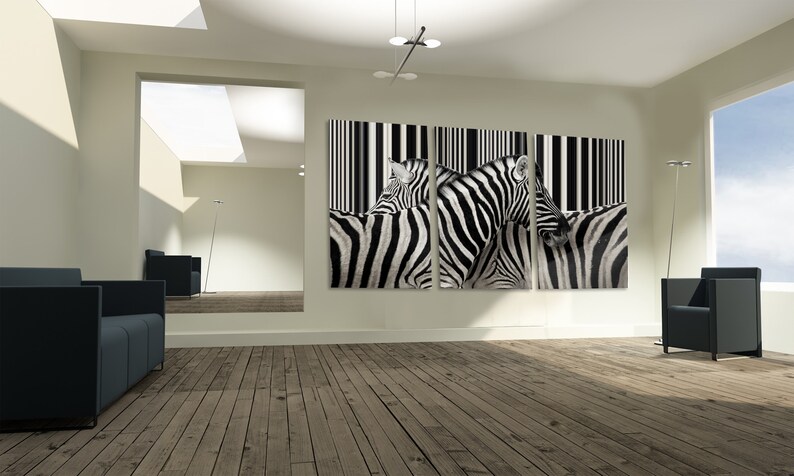 Zebra Photography Overlays: Wildlife Graphics, Backgrounds (digital ...