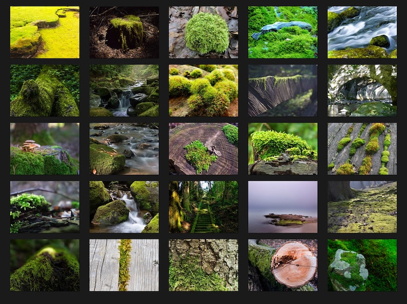 200 Moss Photoshop Overlays: Forest Textures, Backgrounds (digital ...