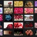 200 Red Roses Photoshop Overlays: HD Textures, Backgrounds (digital ...