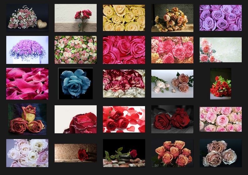 200 Red Roses Photoshop Overlays: HD Textures, Backgrounds (digital ...