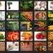 200 Vegetables Photoshop Overlays, Digital Textures, Backgrounds ...