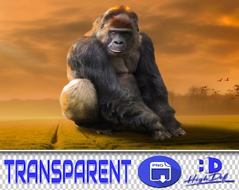Transparent Png Ape - Etsy
