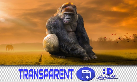 80 MONKEYS TRANSPARENT PNG Photoshop Overlays Monkeys Png - Etsy