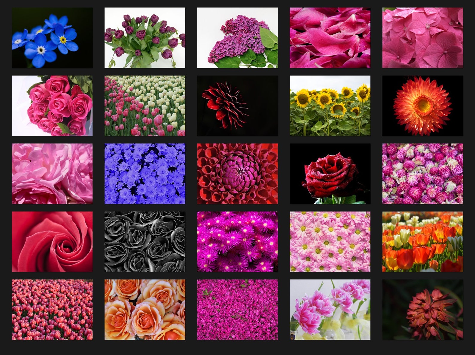 200 FLOWERS PHOTOSHOP OVERLAYS Digital Textures Backgrounds - Etsy