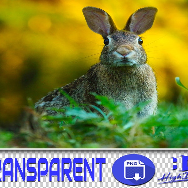 Rabbit Overlay - Etsy