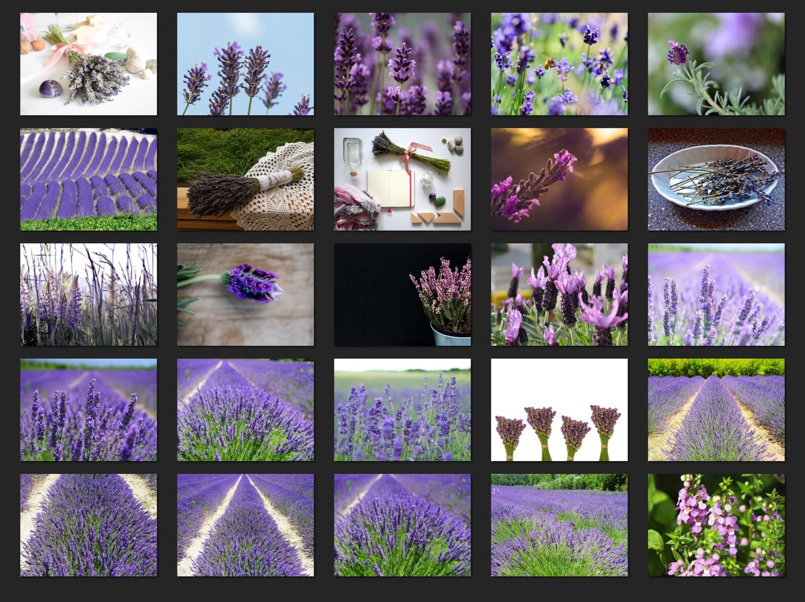 200 LAVENDER PHOTOSHOP OVERLAYS Digital Textures - Etsy