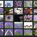 200 LAVENDER PHOTOSHOP OVERLAYS Digital Textures - Etsy