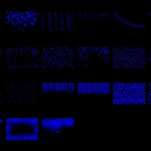 300 LIGHT TRANSPARENT PNG Photoshop Overlays Effects, Backgrounds ...