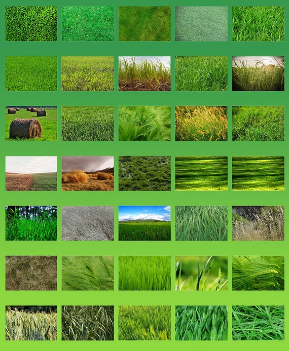 Gras Hintergrundmuster
