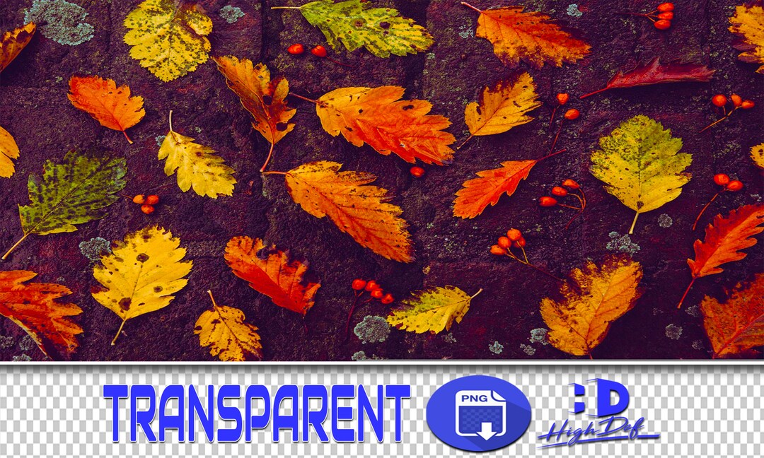 400 AUTUMN LEAVES TRANSPARENT Png Photoshop Overlays, Autumn Leaves Png ...