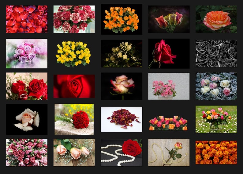 200 Red Roses Photoshop Overlays: HD Textures, Backgrounds (digital ...