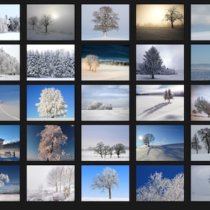 200 SNOW TREES PHOTOSHOP Overlays, Digital Textures, Backgrounds ...