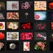 200 Red Roses Photoshop Overlays: HD Textures, Backgrounds (digital ...