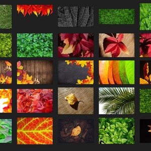 200 LEAVES PHOTOSHOP OVERLAYS, Digital Textures, Backgrounds, Backdrops ...