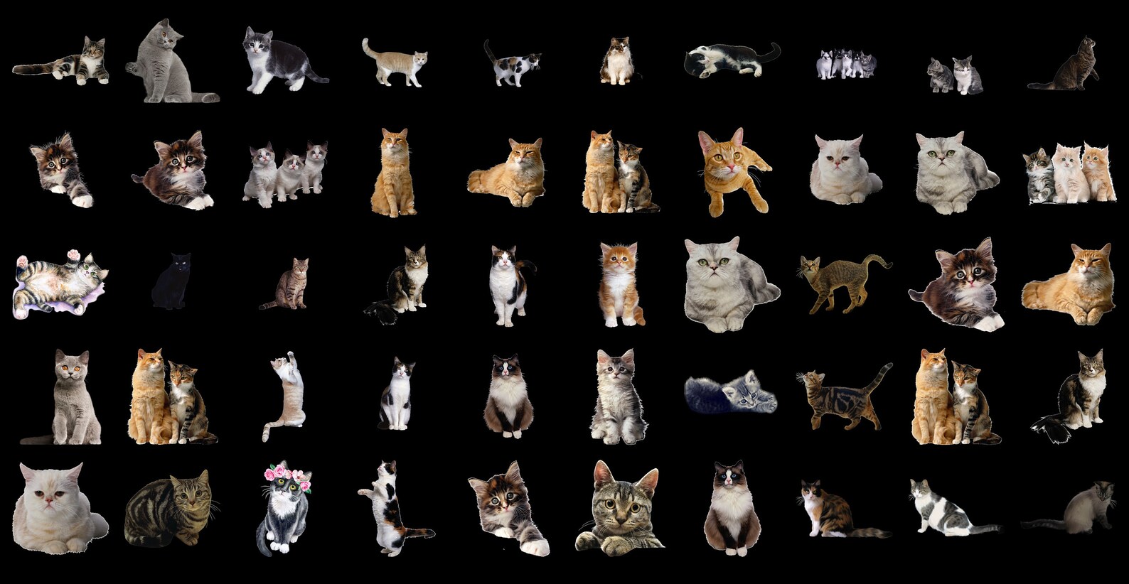 300 Cat PNG Overlays: Transparent Photoshop Clipart (digital Download ...