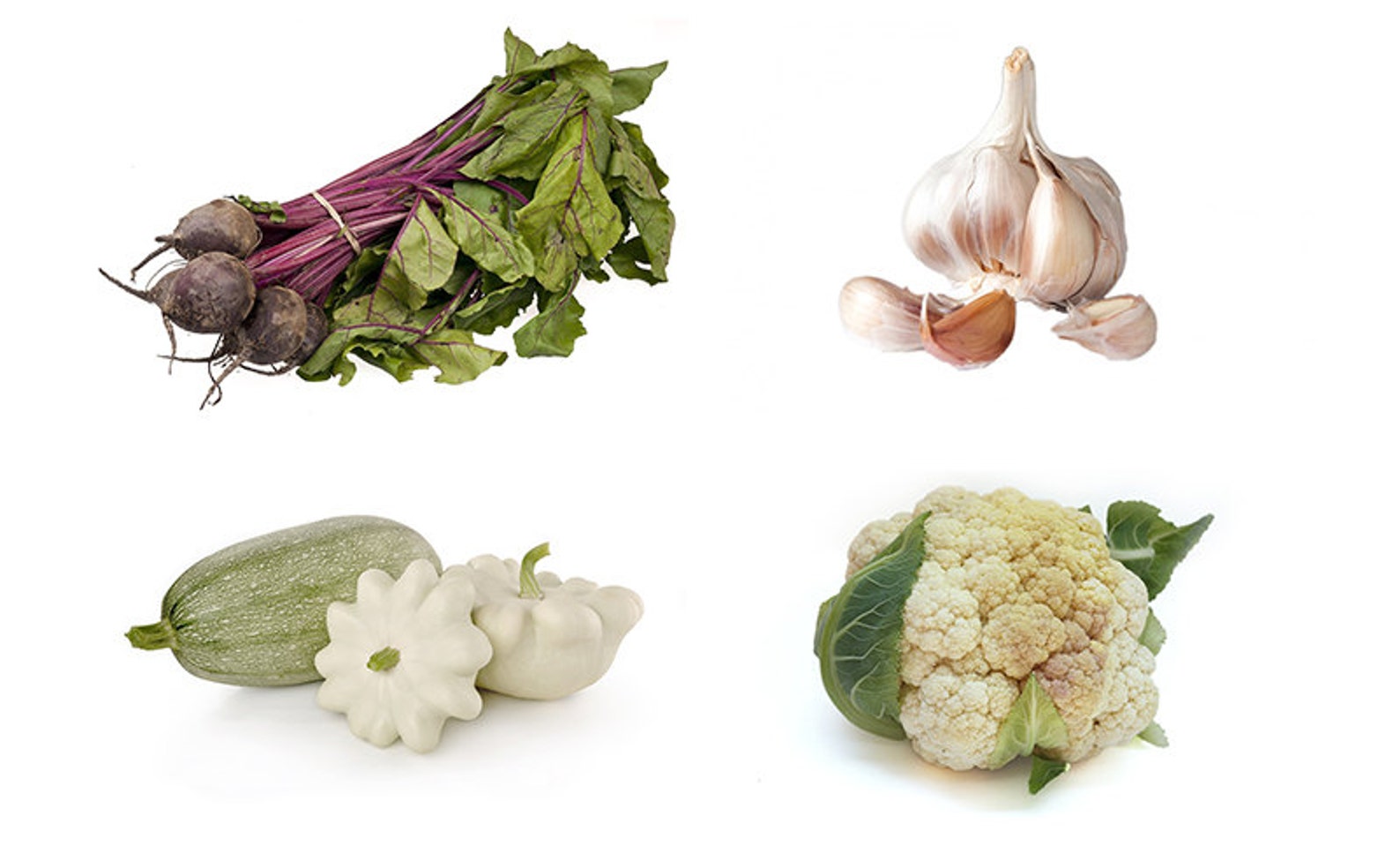 100 Vegetable Photo Overlays: Food Textures & Backgrounds (digital ...