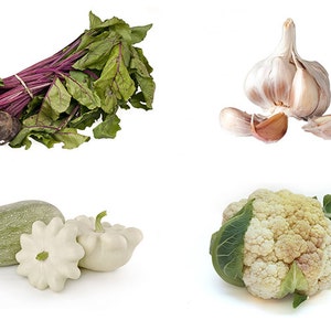 100 Vegetable Photo Overlays: Food Textures & Backgrounds (digital ...