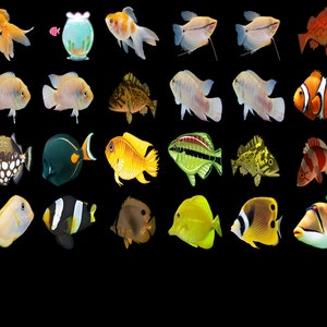 300 FISHES TRANSPARENT PNG Photoshop Overlays, Png Animals, Png ...