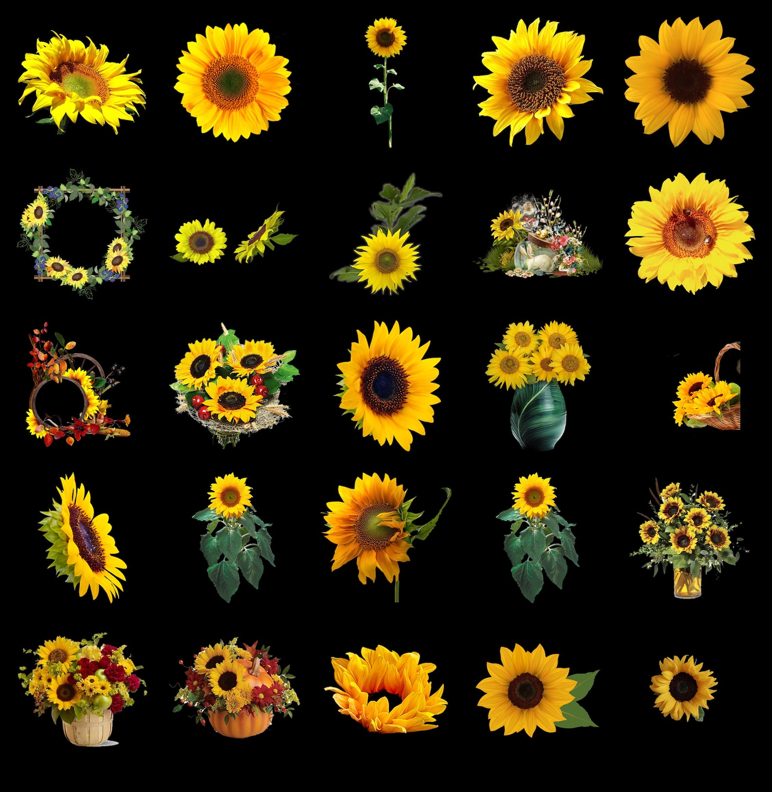 200 SUNFLOWERS TRANSPARENT PNG Photoshop Overlays Sunflowers - Etsy