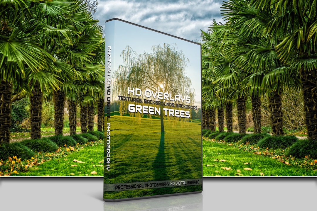 200 Green Trees Photoshop Overlays: Forest Photography Backdrops ...
