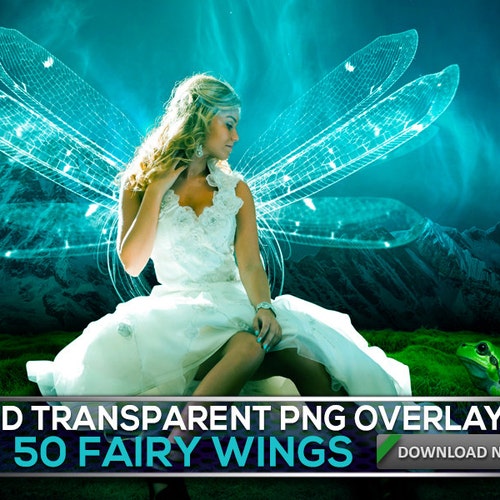 50 FAIRY TRANSPARENT PNG & Angel Wing Overlays Transparent - Etsy