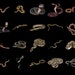 100 Snake PNG Overlays: Transparent Photoshop Clipart (digital Download ...