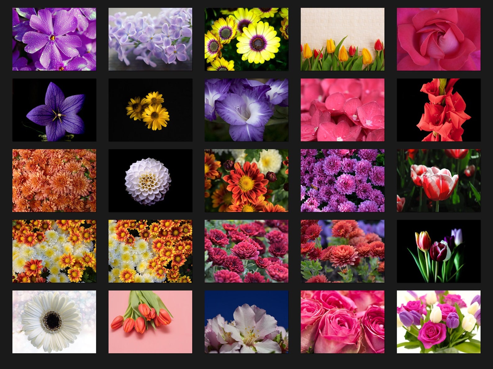 200 FLOWERS PHOTOSHOP OVERLAYS Digital Textures Backgrounds - Etsy