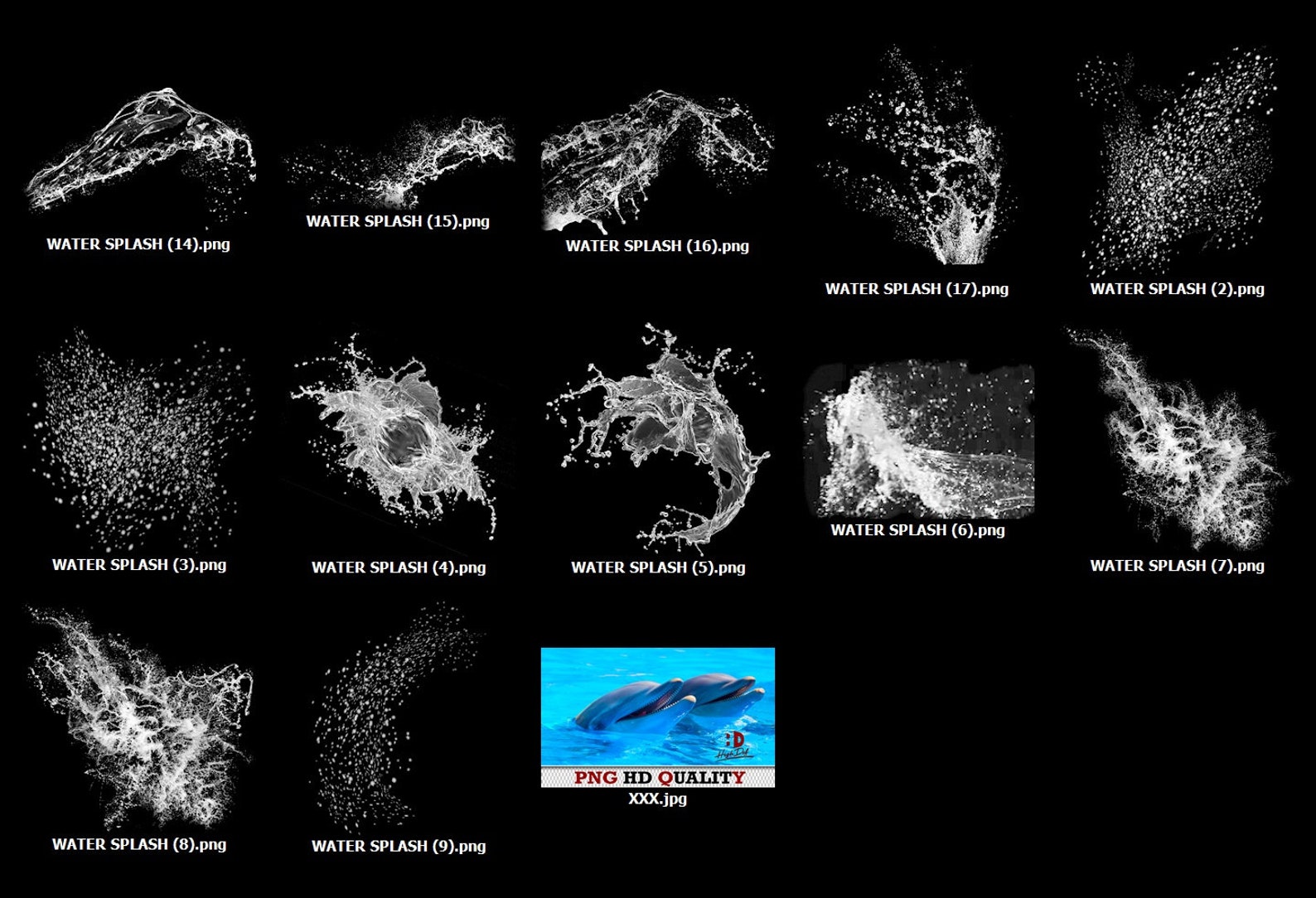 50 DOLPHINS TRANSPARENT PNG Photoshop Overlays Dolphin Png - Etsy