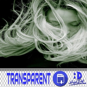 1000 Hair Photoshop Overlays: Transparent PNG Textures (digital ...