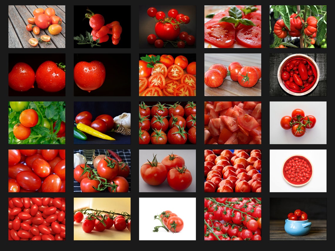 200 TOMATOES PHOTOSHOP OVERLAYS Digital Textures - Etsy