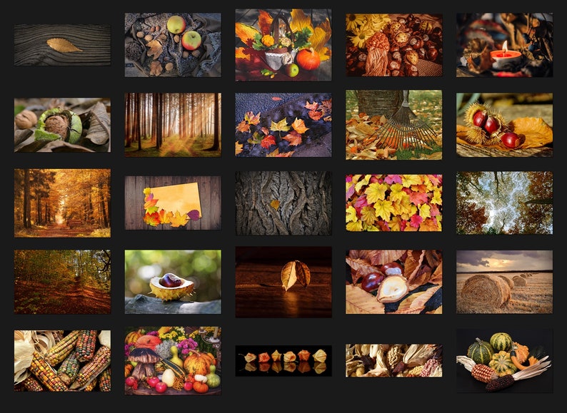 200 AUTUMN PHOTOSHOP OVERLAYS Backgrounds Backdrops Digital | Etsy