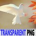 100 DOVES TRANSPARENT PNG Photoshop Overlays, Png Animals, Png Wildlife ...